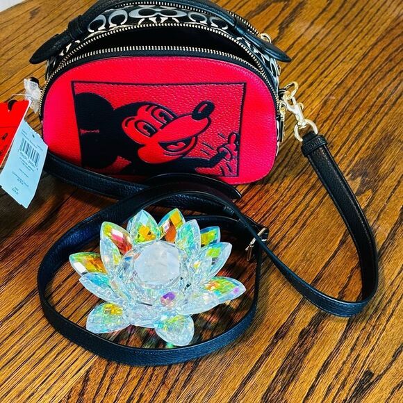 Coach | Bags | Coachdisney Mickey Mouse Leather Crossbody Nwt 378 Rare ...